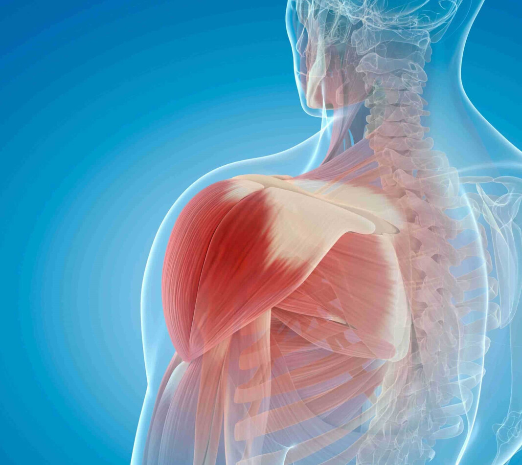 Shoulder Surgery in Turkey | Check 2026 Cost & Prices