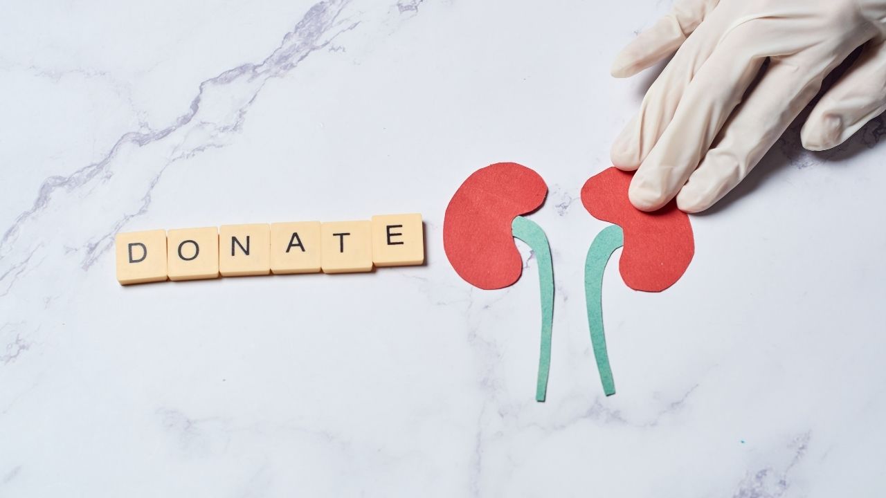 Organ Transplantation in Turkey | Organ Transplant in Turkey