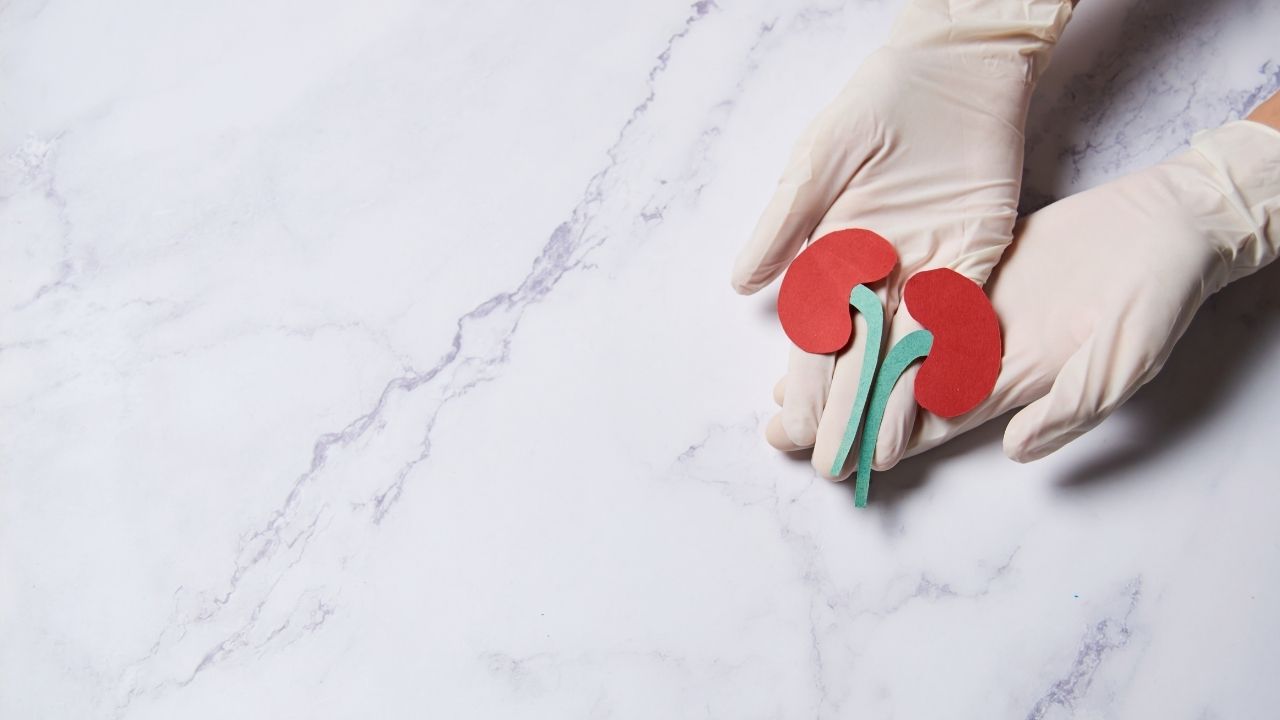 Kidney Transplant in Turkey | Kidney Transplant 2026 Costs