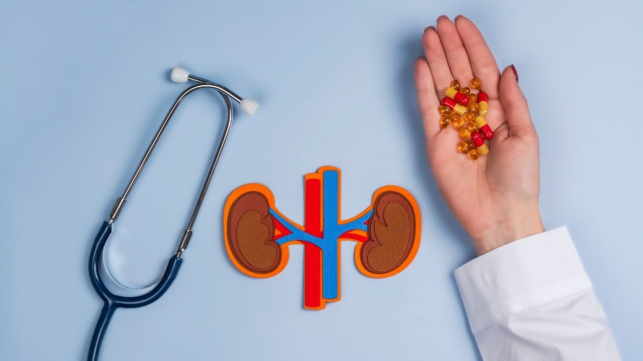 Kidney Transplant in Turkey | Kidney Transplant 2026 Costs