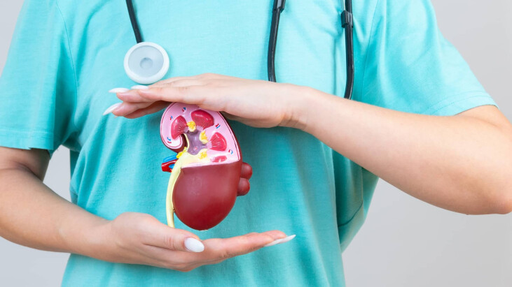 Treatment of Vascular Diseases of Kidneys in Turkey | Costs