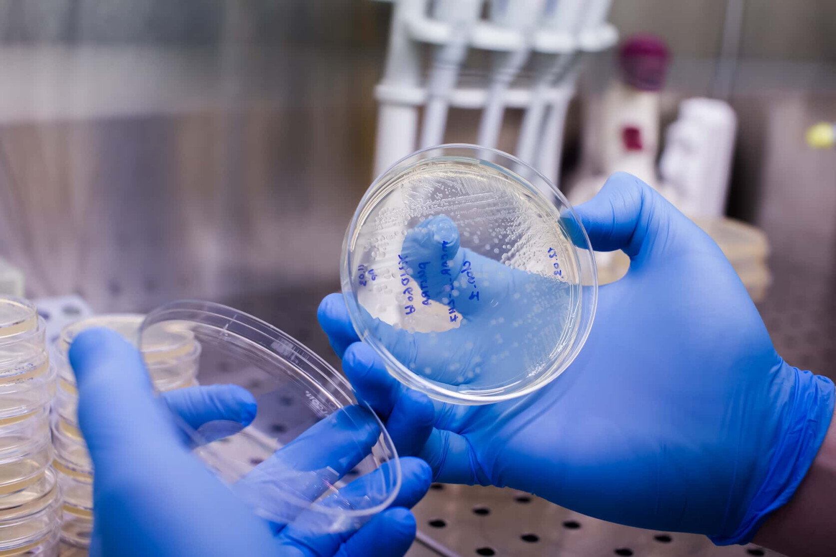 CAR-T Cell Treatment in Turkey | Check 2026 Cost & Prices