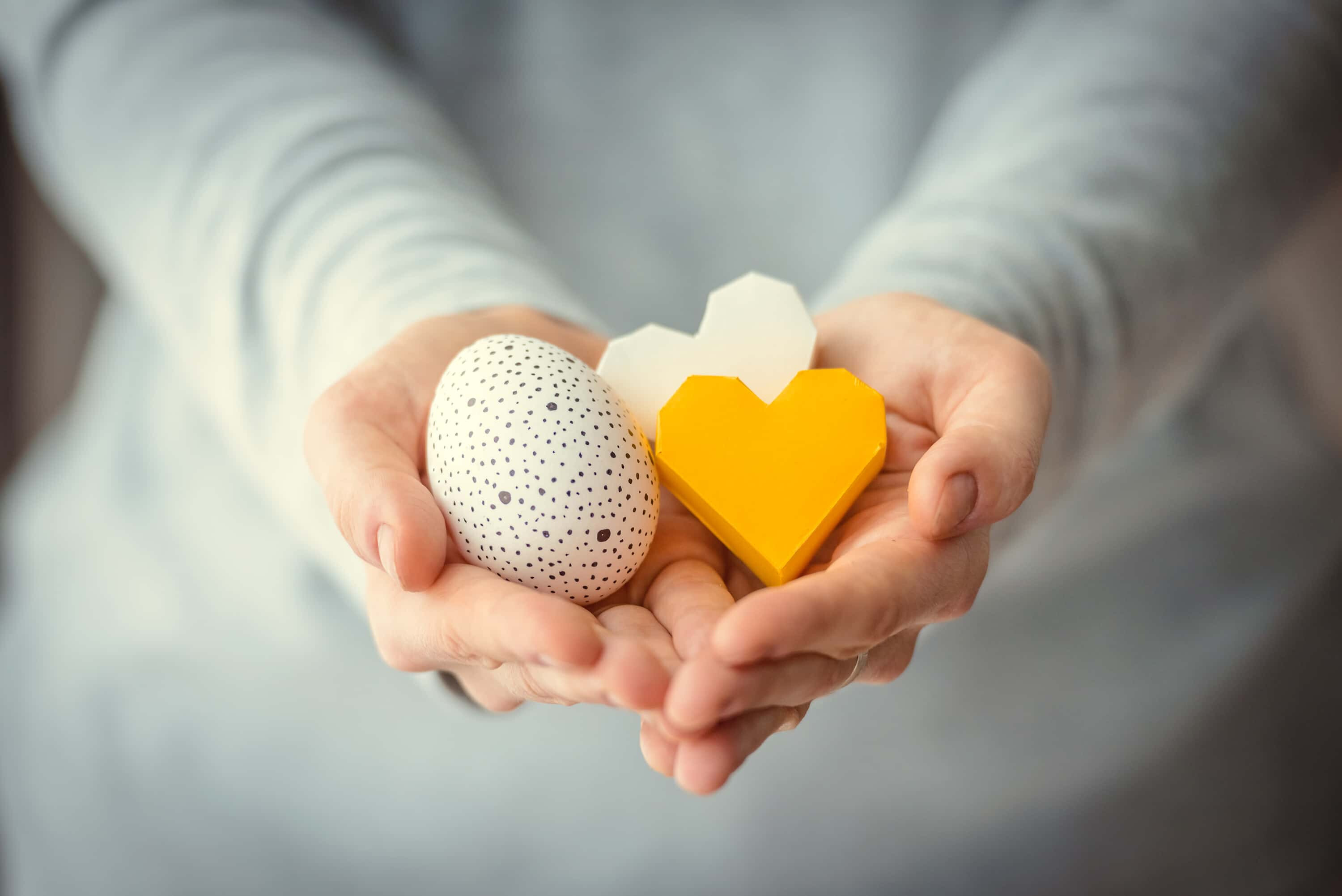 Egg Donation Treatment in Turkey | Egg Donation in Turkey