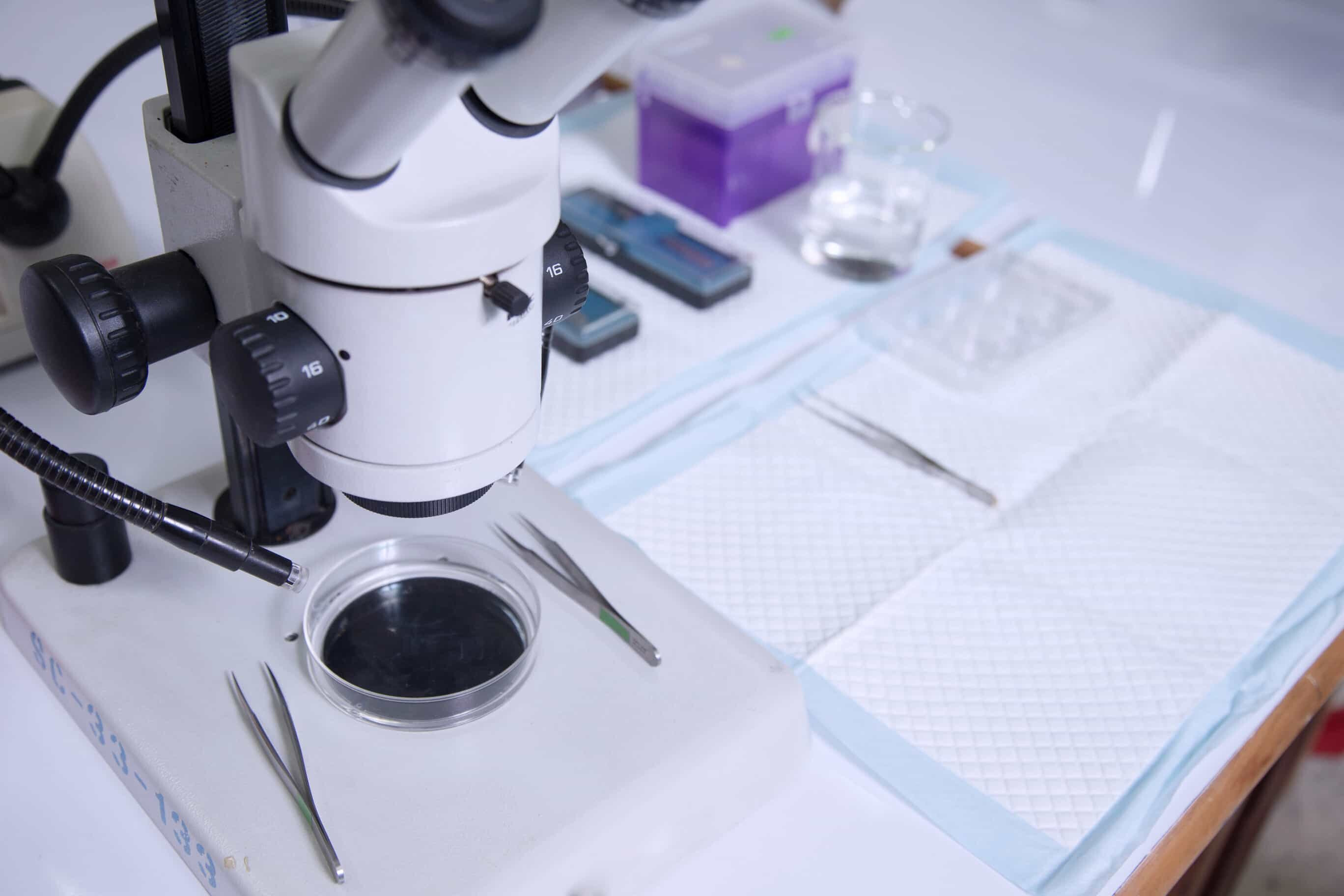 Liver Biopsy in Turkey | Liver Biopsy Turkey 2026 Costs